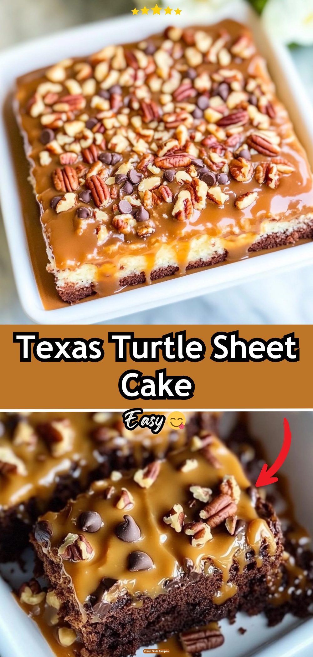Texas Turtle Sheet Cake
