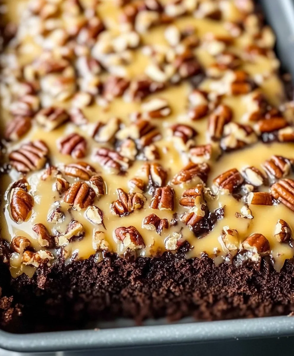 Texas Turtle Sheet Cake